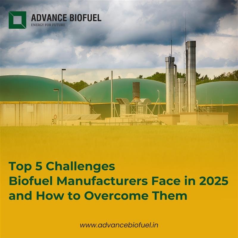 Top 5 Challenges Biofuel Manufacturers Face in 2025 & Solutions ...